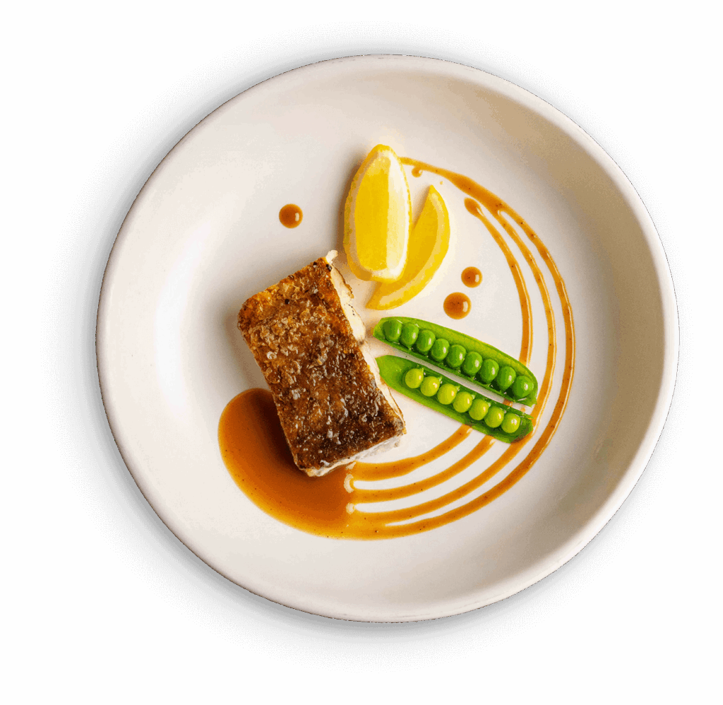 Premium Australian Barramundi for Restaurants | Opal Barramundi USA